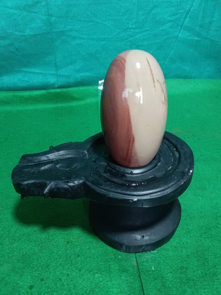 Buy Big Size Narmadeshwar Shivling for Temple – 6 Inch to 3ft